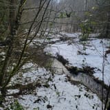 Mima Falls Loop, Washington - 1,492 Reviews, Map | AllTrails