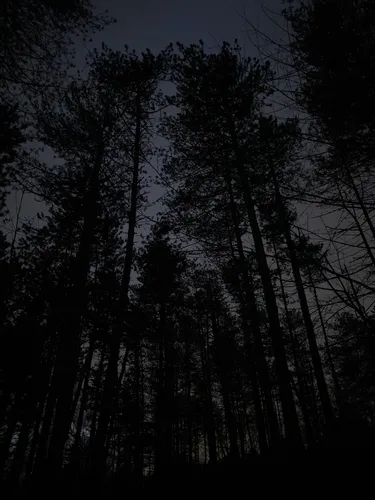 Best Hikes and Trails in Provin Trails Park | AllTrails