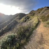 Towsley Canyon Loop Trail, California - 3,825 Reviews, Map | AllTrails