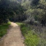 Towsley Canyon Loop Trail, California - 3,825 Reviews, Map | AllTrails