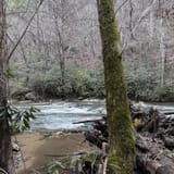 Laurel River Trail, North Carolina - 1,396 Reviews, Map | AllTrails