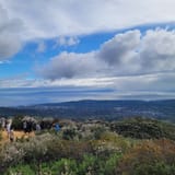 Inspiration Point, California - 3,898 Reviews, Map | AllTrails