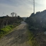 Rice Canyon Trail, California - 985 Reviews, Map | AllTrails