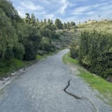 Rice Canyon Trail, California - 985 Reviews, Map | AllTrails