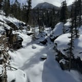 East Inlet Trail, Colorado - 1,222 Reviews, Map | AllTrails