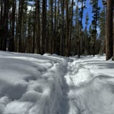 East Inlet Trail, Colorado - 1,232 Reviews, Map | AllTrails