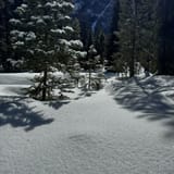 East Inlet Trail, Colorado - 1,232 Reviews, Map | AllTrails