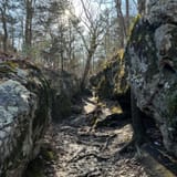 Trail Through Time, Missouri - 2,449 Reviews, Map | AllTrails