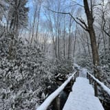 Myrtle Point and Mount LeConte via Alum Cave Trail, Tennessee - 3,081 ...