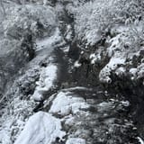 Myrtle Point and Mount LeConte via Alum Cave Trail, Tennessee - 3,081 ...