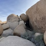 Skull Rock, California - 2,977 Reviews, Map | AllTrails