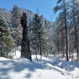 Raspberry Mountain Loop, Colorado - 1,151 Reviews, Map | AllTrails