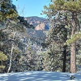 Raspberry Mountain Loop, Colorado - 1,151 Reviews, Map | AllTrails