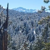 Raspberry Mountain Loop, Colorado - 1,151 Reviews, Map | AllTrails