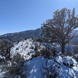 Mount Morrison Trail, Colorado - 5,395 Reviews, Map | AllTrails