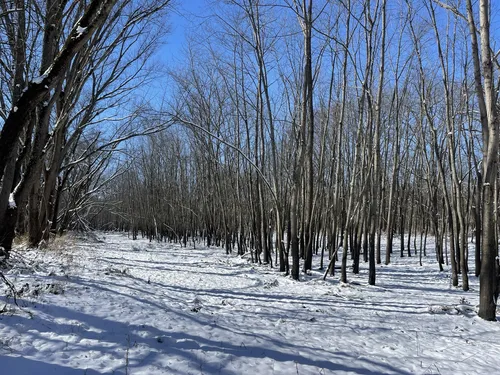 Best Hikes and Trails in Walnut Point State Park | AllTrails