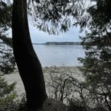 Titlow Park, Washington - 607 Reviews, Map | AllTrails