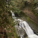 Racehorse Falls Trail, Washington - 433 Reviews, Map | AllTrails