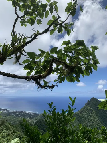 10 Best Trails and Hikes in Rarotonga | AllTrails