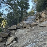 Spruce Canyon Trail, Colorado - 336 Reviews, Map | AllTrails