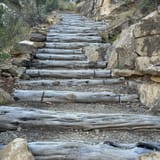 Spruce Canyon Trail, Colorado - 336 Reviews, Map | AllTrails