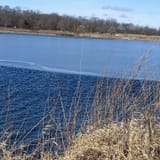 Van Patten Woods Forest Preserve Loop, Illinois - 751 Reviews, Map ...