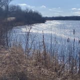 Van Patten Woods Forest Preserve Loop, Illinois - 751 Reviews, Map ...