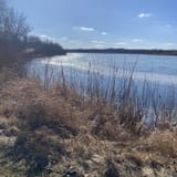 Van Patten Woods Forest Preserve Loop, Illinois - 751 Reviews, Map ...