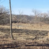 Van Patten Woods Forest Preserve Loop, Illinois - 751 Reviews, Map ...