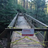 Sasamat Lake Loop Trail - Woodhaven Trail - Woodhaven Swamp Loop Trail ...