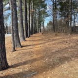 Back 40 Loop, Arkansas - 306 Reviews, Map | AllTrails