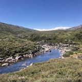 Illawong Walk, New South Wales, Australia - 330 Reviews, Map | AllTrails