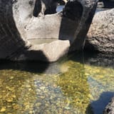 Illawong Walk, New South Wales, Australia - 330 Reviews, Map | AllTrails