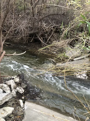 Best Hikes and Trails in Brea Dam Recreation Area | AllTrails