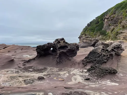 Best Bird Watching Trails in Beowa National Park | AllTrails