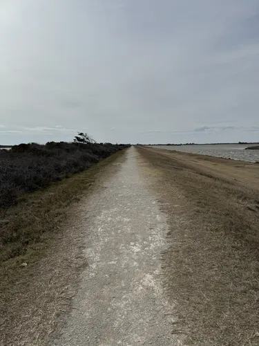 Best Hikes and Trails in Pea Island National Wildlife Refuge | AllTrails