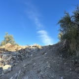 White Cliffs Wagon Trail, Arizona - 284 Reviews, Map | AllTrails