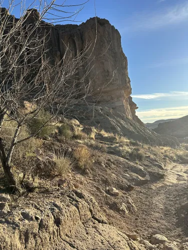 Best Hikes and Trails in White Cliffs Trail System | AllTrails