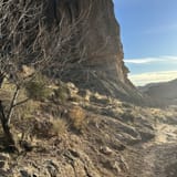 White Cliffs Wagon Trail, Arizona - 284 Reviews, Map | AllTrails