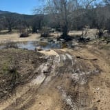 Chiva Falls Trail, Arizona - 346 Reviews, Map | AllTrails