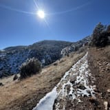 Mount Falcon Castle Trail Loop, Colorado - 5,526 Reviews, Map | AllTrails