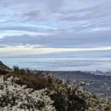 Inspiration Point, California - 3,898 Reviews, Map | AllTrails