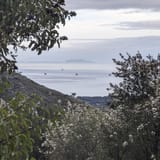 Inspiration Point, California - 3,898 Reviews, Map | AllTrails