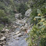 Inspiration Point, California - 3,898 Reviews, Map | AllTrails