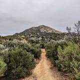 Inspiration Point, California - 3,898 Reviews, Map | AllTrails