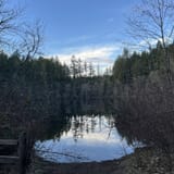 Tradition Lake Loop Trail, Washington - 1,571 Reviews, Map | AllTrails