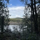 Tradition Lake Loop Trail, Washington - 1,571 Reviews, Map | AllTrails