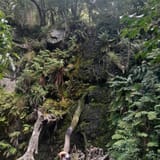 Cecilia Waterfall via Cecilia Forest, Western Cape, South Africa ...