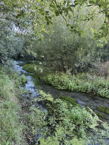 Best Camping Trails in Leeston | AllTrails