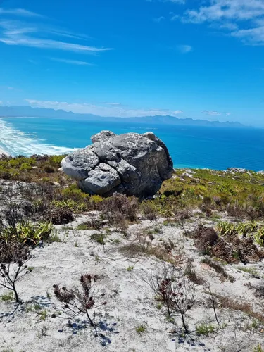 Best Forest Trails in Muizenberg | AllTrails